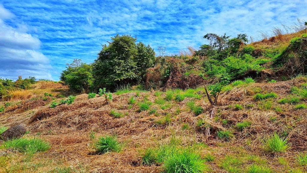 HDM_ 13 - World Luxury Realty